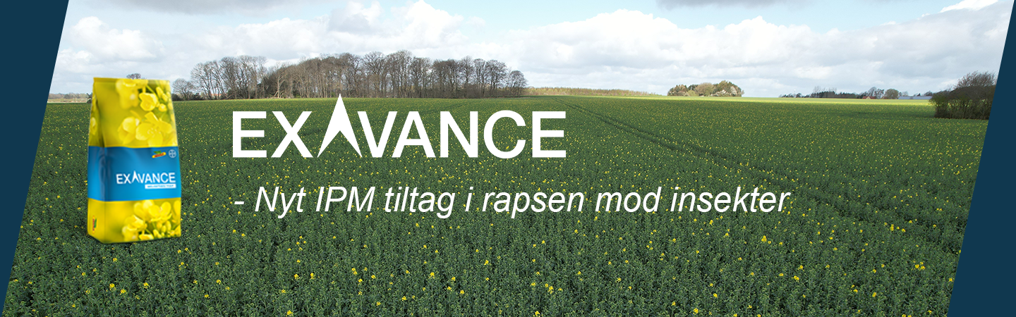 Bayer - vi hjælper landmænd med plantebeskyttelse - Bayer Crop Science Danmark